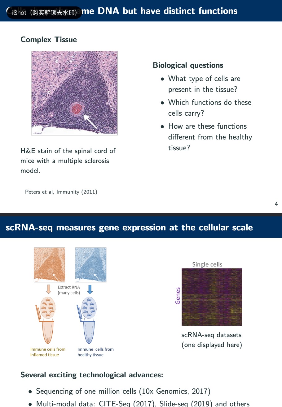 【Single Cell Genomics】Part3 Deep generative models for single-cell ...