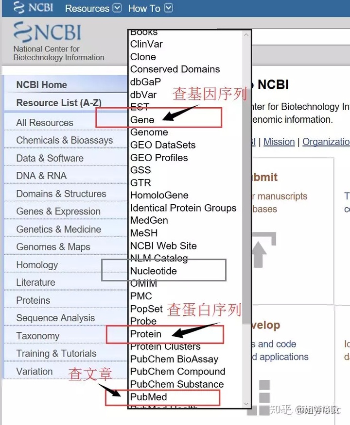 ncbi查找目的基因序列_学姐教你如何利用NCBI寻找目的基因-CSDN博客