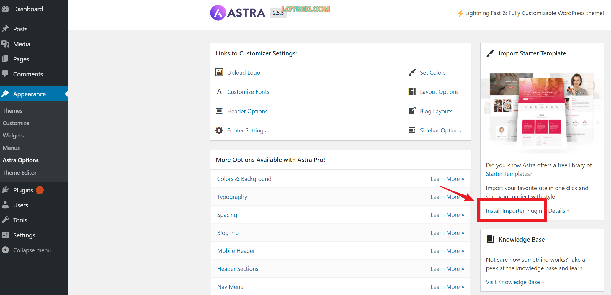如何用Astra主题免费版建外贸网站_astra option-CSDN博客