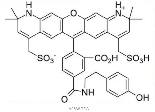AlexaFluor568-Tyramide，AF568-TSA，可以标记抗体或抗原，免疫组化荧光增强试剂_tsa标记抗体-CSDN博客