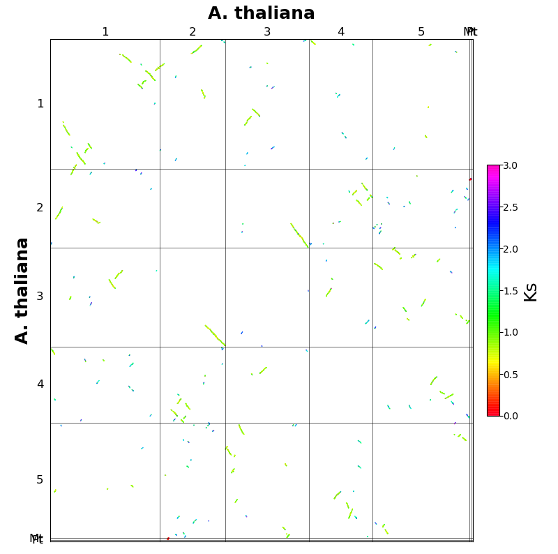 如何用WGDI进行共线性分析(中)-CSDN博客