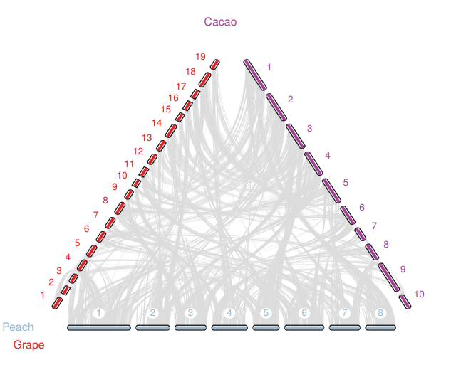 「JCVI教程」使用JCVI进行基因组共线性分析(中)-CSDN博客