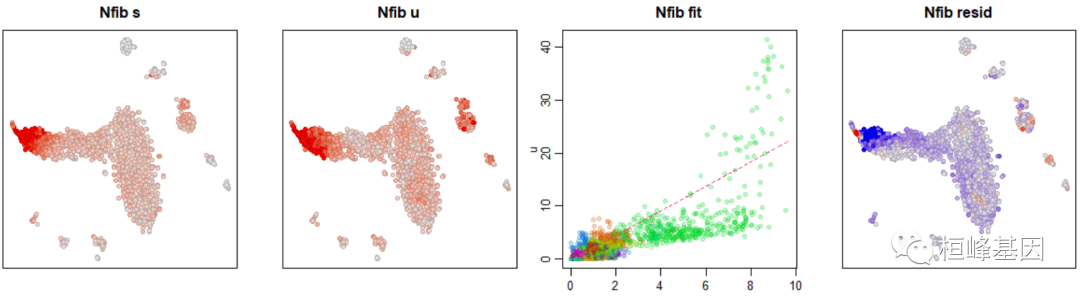 SCS【22】单细胞转录组之 RNA 速度估计 (Velocyto.R)-CSDN博客