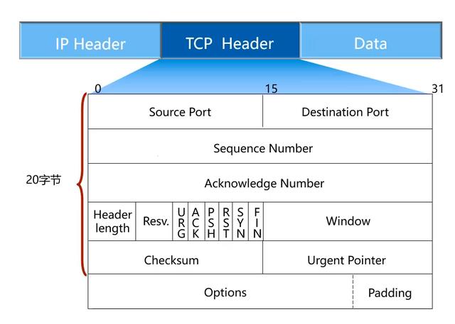 发送udp无效_14、90秒快速“读懂”TCP、UDP协议及报文格式-CSDN博客