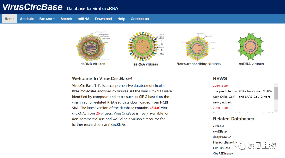 数据库 | VirusCircBase：环状 RNA病毒数据库_circbase数据库-CSDN博客