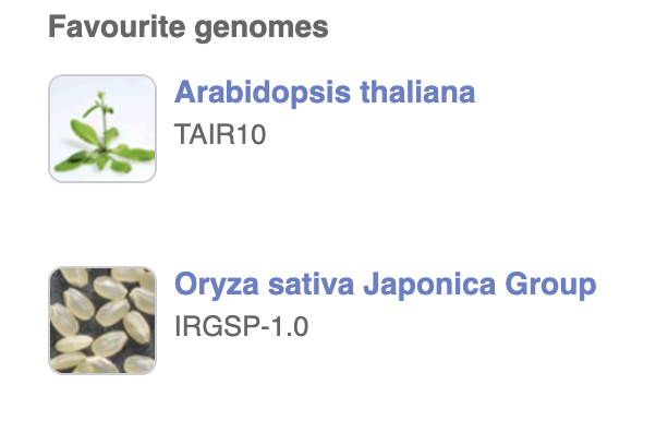「JCVI教程」使用JCVI进行基因组共线性分析(上)-CSDN博客