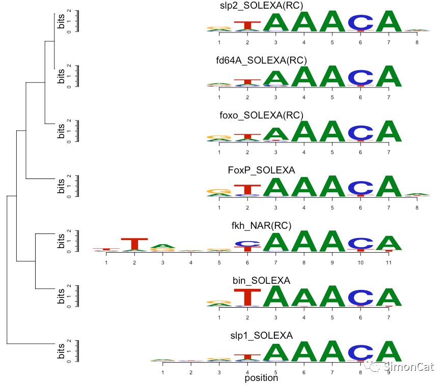 MotifStack：多motif序列比较和可视化-CSDN博客