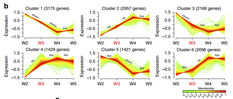 时间序列分析matlab_使用Mfuzz包做时间序列分析_weixin_39603492的博客-CSDN博客