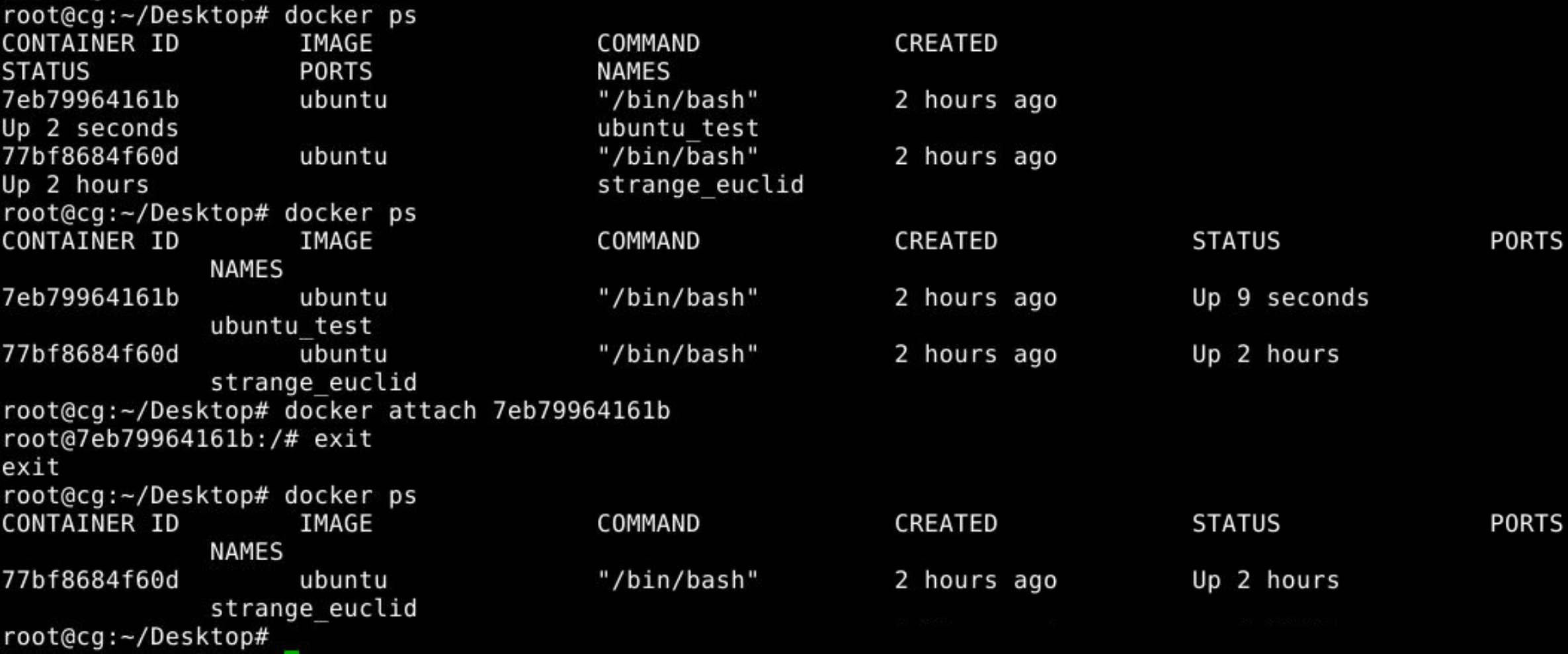 docker容器使用_docker 容器使用-CSDN博客