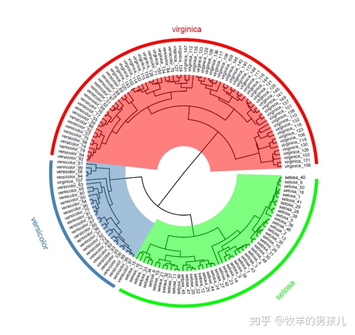 R语言聚类分析r语言ggtree画圆形的树状图展示聚类分析的结果 Csdn博客