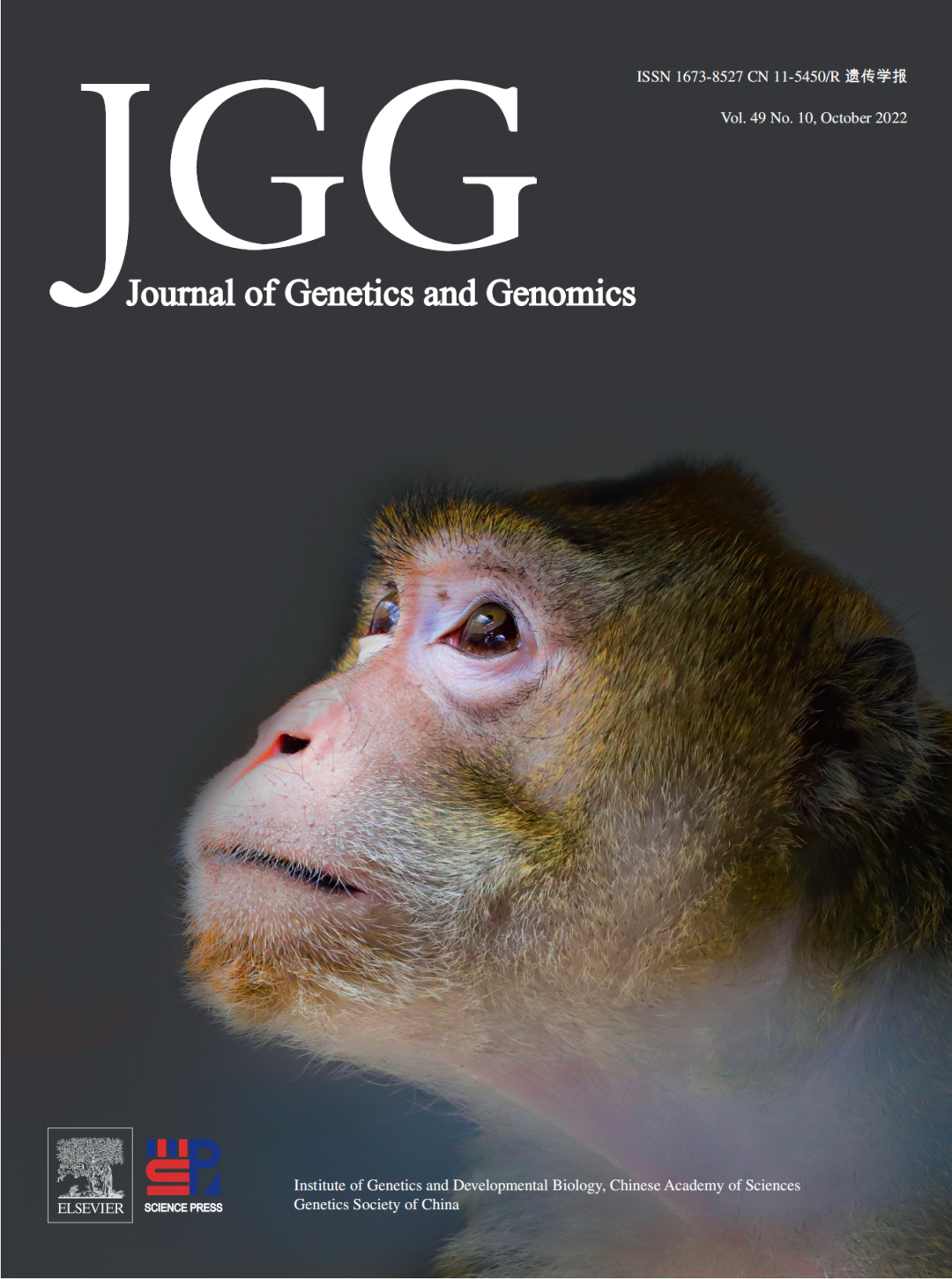 JGG｜中国农科院基因组所阮珏组开发全面评估基因组组装质量的软件GAEP-CSDN博客