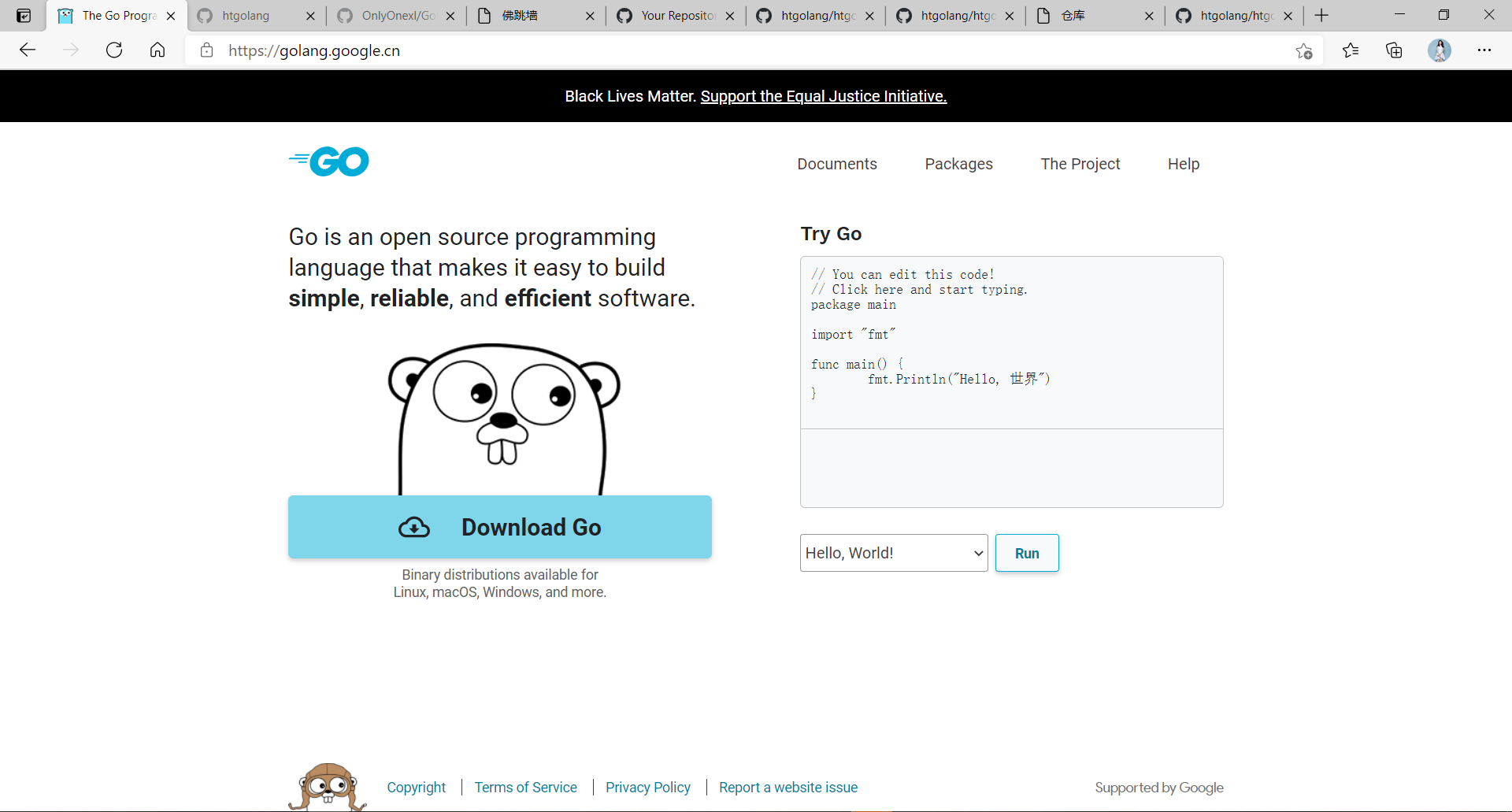 Go软件安装-已成功测试-20210413_goproxy软件下载-CSDN博客