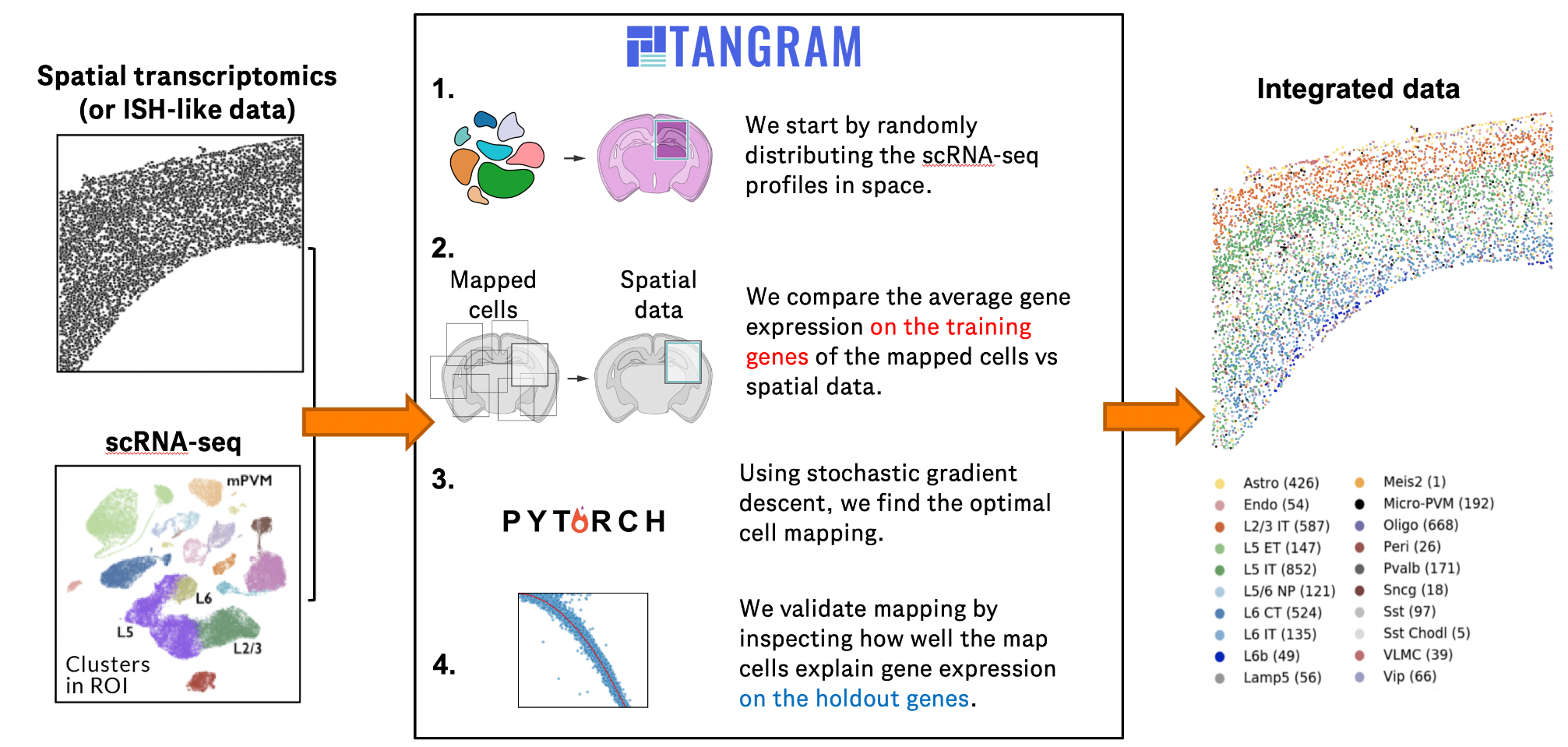 Tangram Tutorial 2：配合 squidy 使用 Tangram_tangram visium-CSDN博客