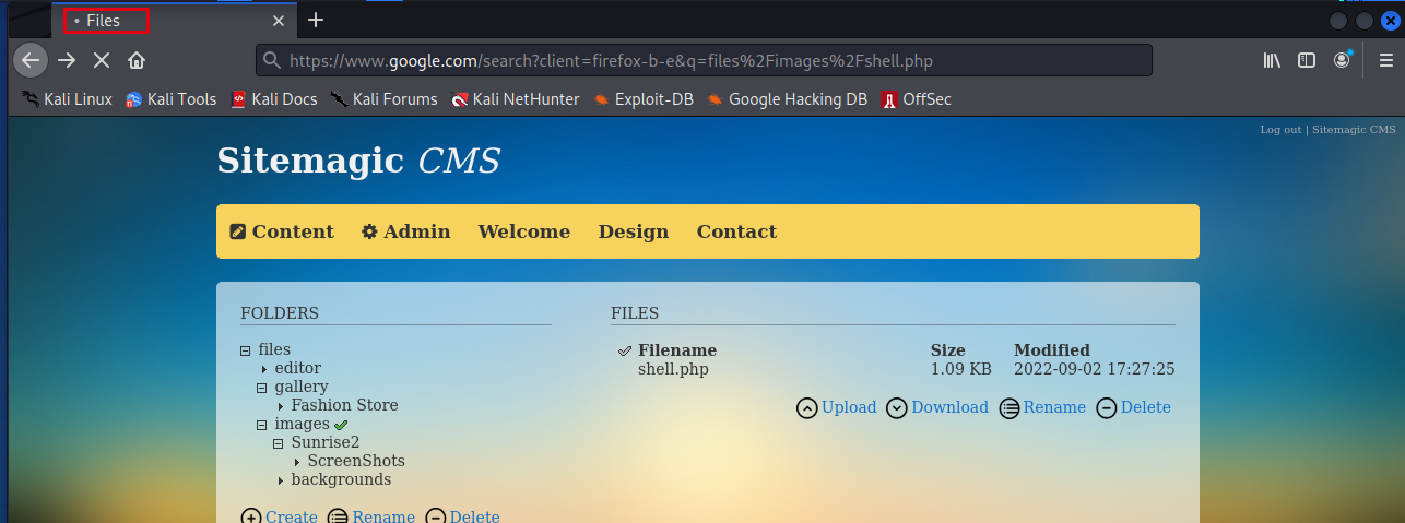 kb-vuln3（systemctl提权）-CSDN博客