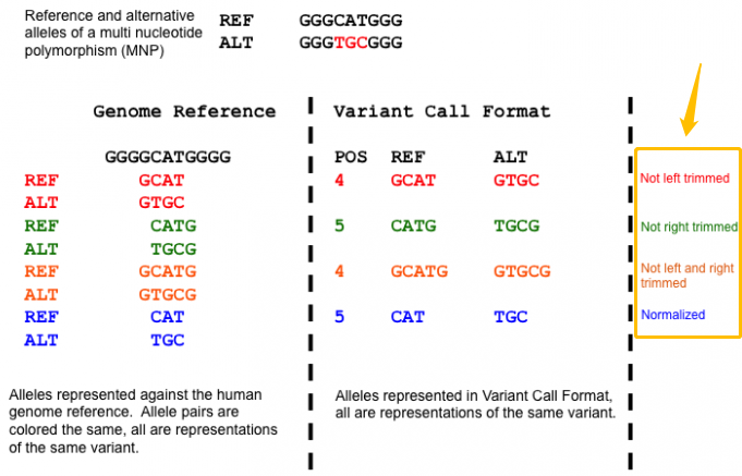 VCF | 多等位基因位点如何拆分？InDel变异如何标准化？-CSDN博客