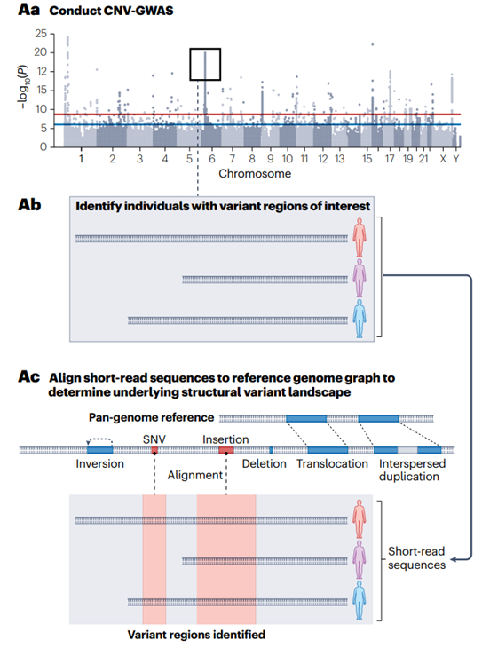 nature reviews genetics | 填补SNP研究空白，CNV-GWAS推动遗传变异全景构建_genome-wide ...