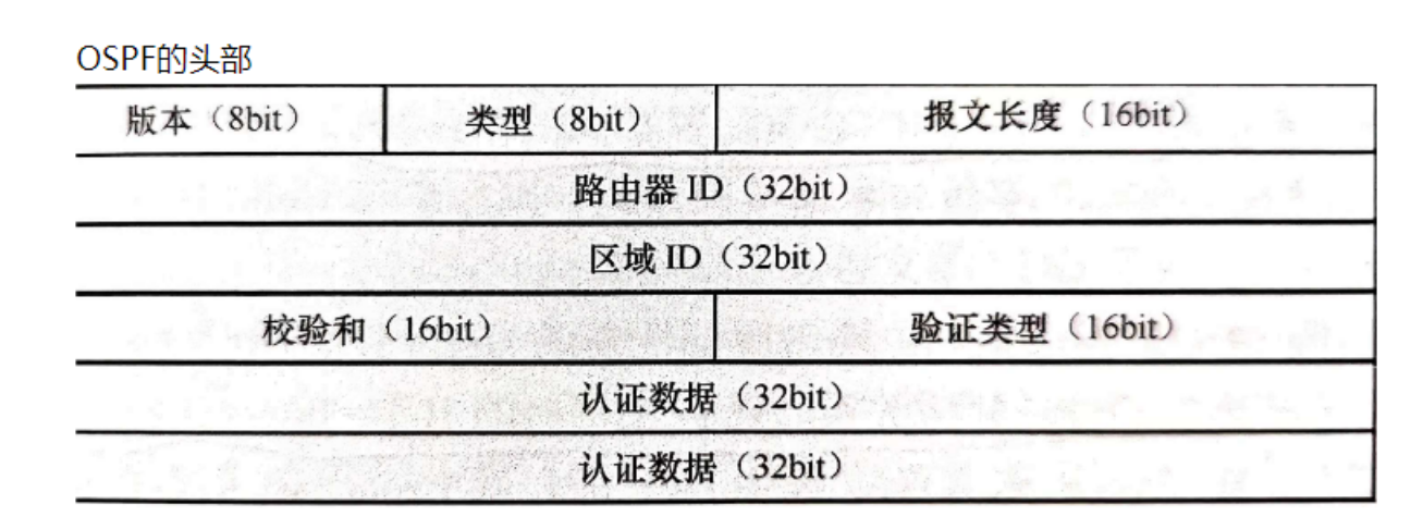 网络路由协议详解：IGP,RIP,OSPF与EGP-CSDN博客