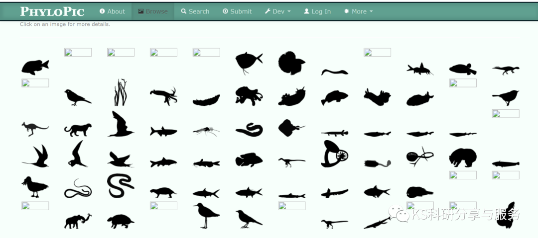 复现《nature communications》图表：ggplot添加图片/示意图元素_ggplot axis.text.x-CSDN博客