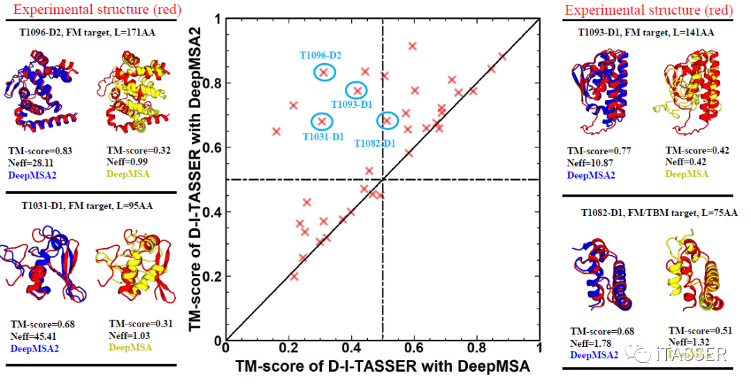 I-TASSER连续八届在CASP自动组竞赛中蝉联冠军_casp14冠军-CSDN博客