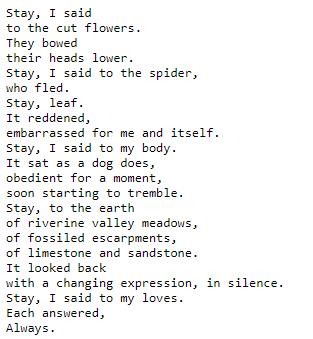在 Python 中使用 NLP 生成基于 LSTM 的诗歌_基于lstm的中文文本生成系统需要用什么语言-CSDN博客