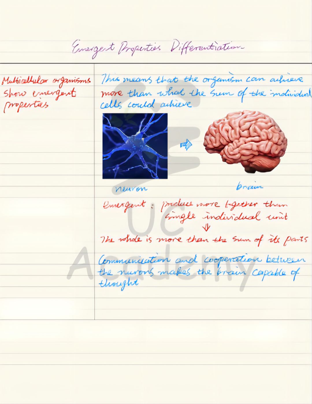 IB生物笔记：Emergent Properties & Differentiation-CSDN博客