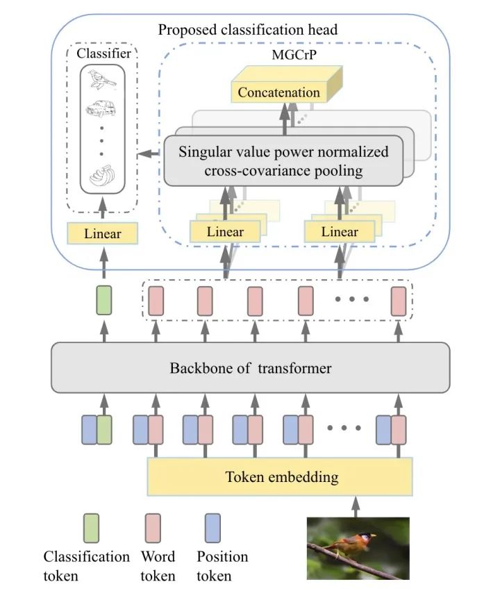 一文细数73个Vision transformer家族成员-CSDN博客