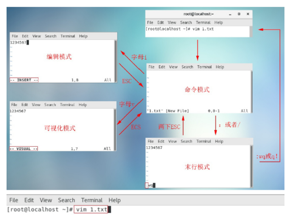 Vim编辑器使用使用 Vim 或 Gedit 编辑器编辑文档文件名为helloshell内容如下图所示并保存到 Csdn博客 