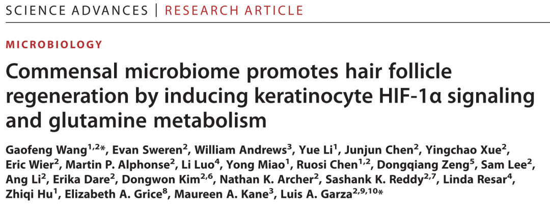 Science Advances | 南方医院整形外科王高峰组揭示皮肤共生微生物促进毛囊再生-CSDN博客