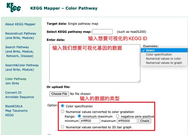 通路可视化工具介绍_kegg mapper – color-CSDN博客