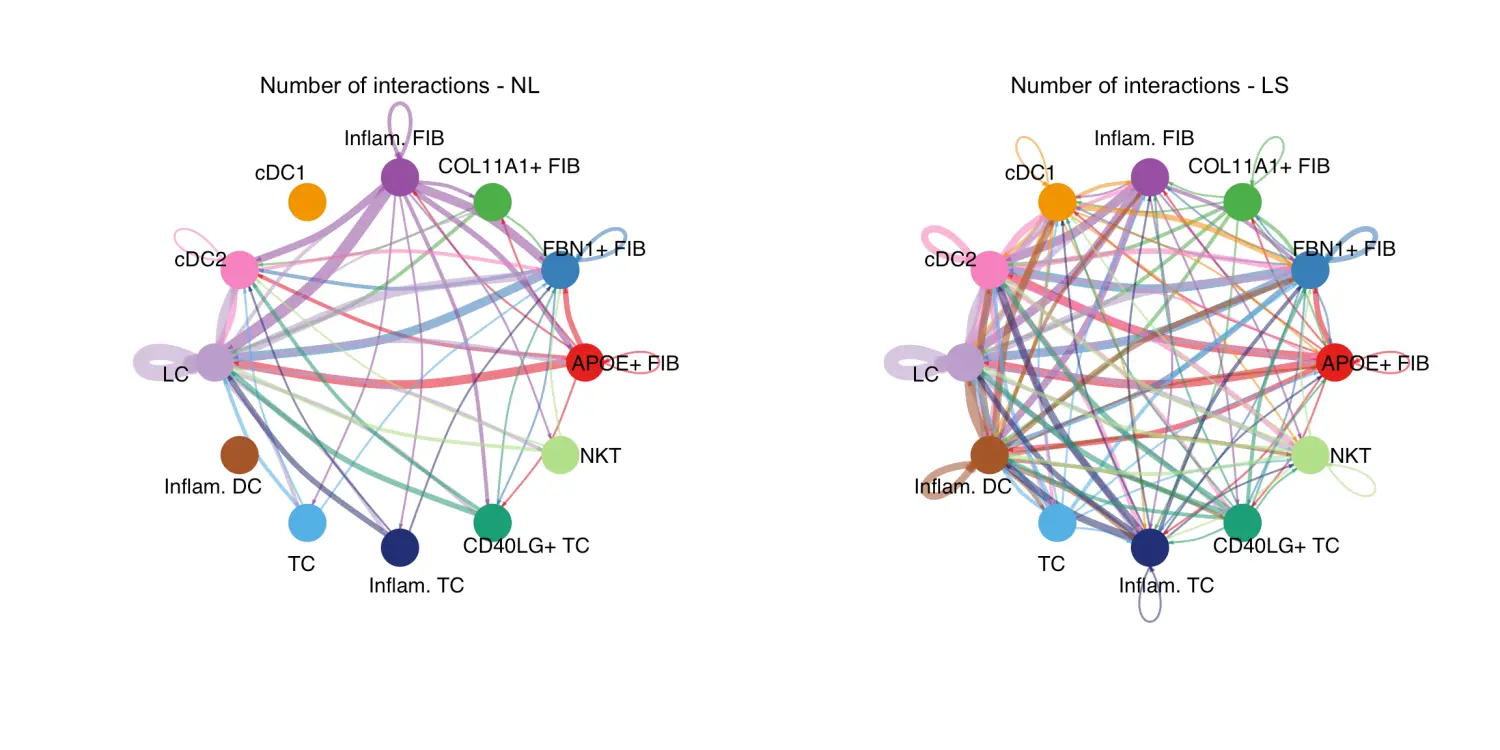 10X单细胞（10X空间转录组）通讯分析CellChat之多样本通讯差异分析_cellchat computenetsimilaritypairwise-CSDN博客