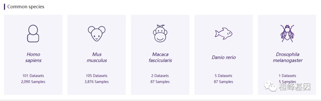 SCS【30】单细胞空间转录组学数据库(STOmics DB)-CSDN博客