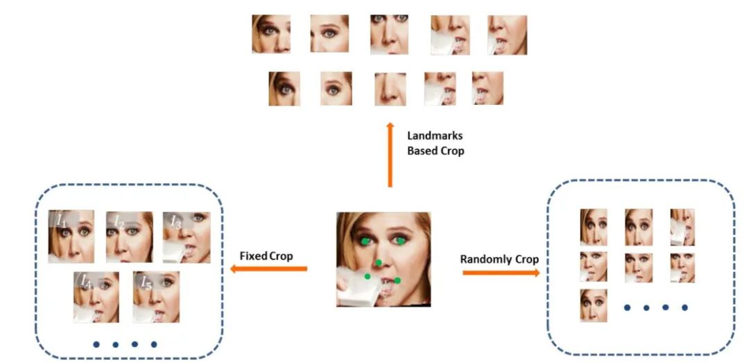 affectnet数据集_处理表情识别中的坏数据：一篇CVPR 2020及两篇TIP的解读-CSDN博客