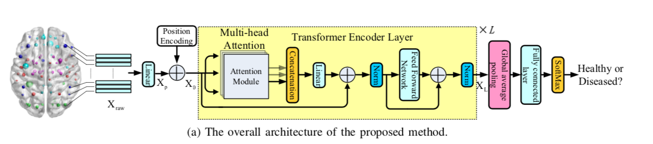 【论文简读】Diffusion Kernel Attention Network for Brain Disorder Classification用于脑疾病分类的扩散核注意力网络 ...