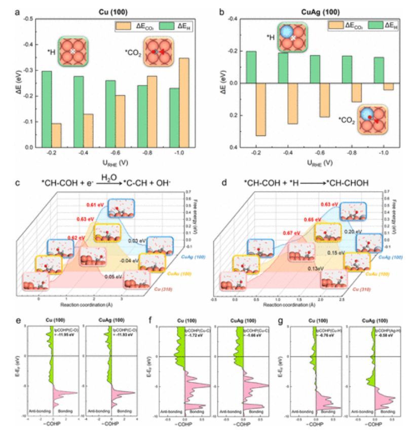 【纯计算】东南ACS Catal.：电化学CO2还原对乙醇和乙烯的选择性_烯醇比 co2 还原-CSDN博客