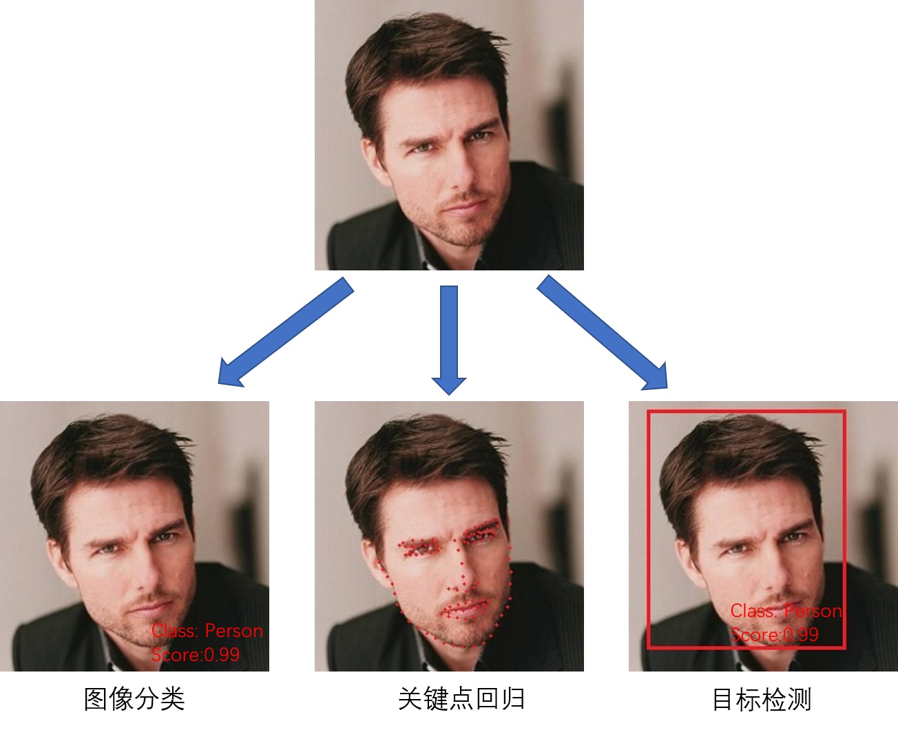 imagenet分类_从imagenet的分类任务迁移说起——深度学习任务迁移详解-CSDN博客