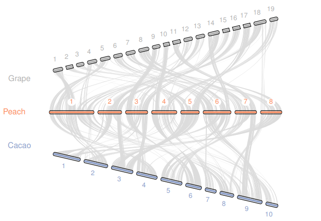 "JCVI Tutorial" uses JCVI to perform genomic collinear analysis (medium ...