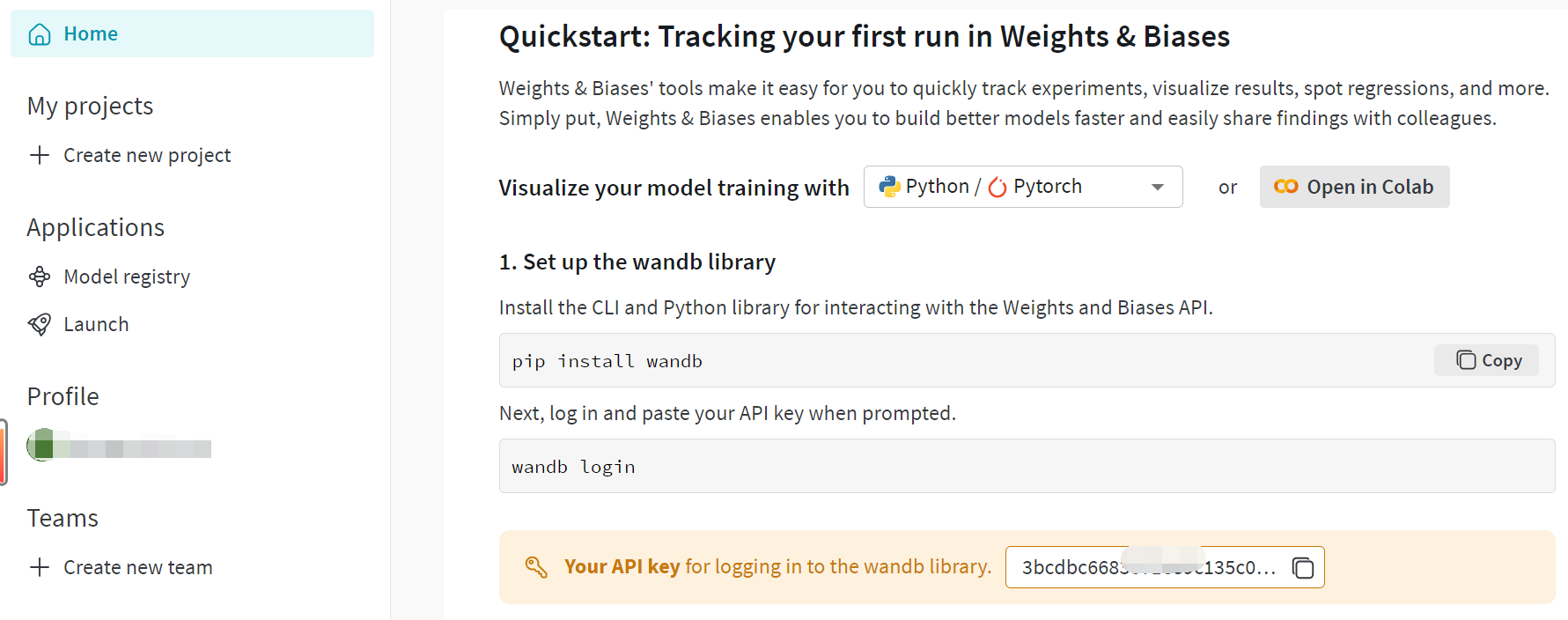 报错解决方法UsageError: api_key not configured (no-tty). call wandb.login(key=[your_api_key ...