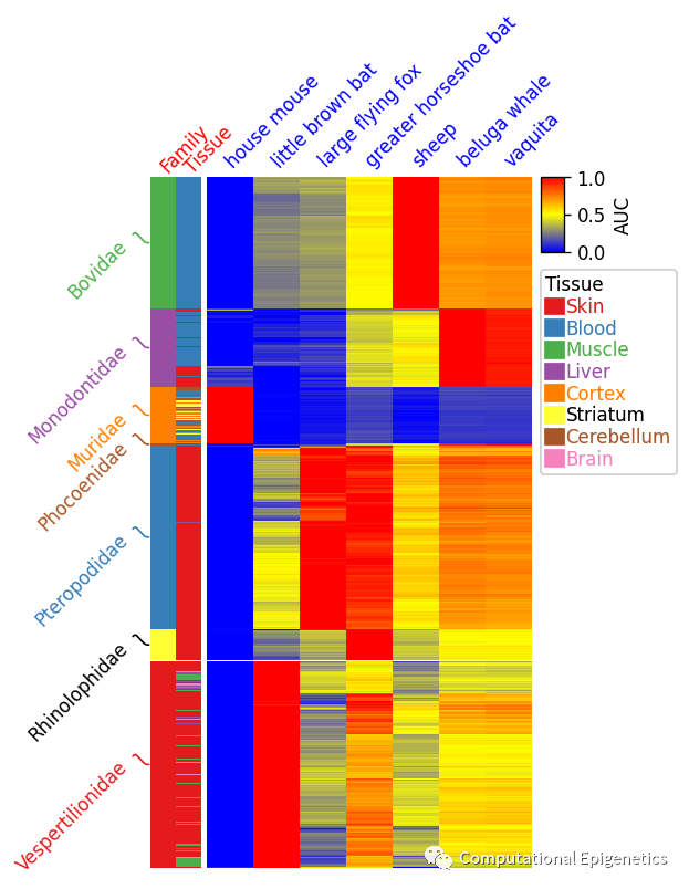 PyComplexHeatmap进阶教程：用python画热图的【行】/【列】注释信息-CSDN博客