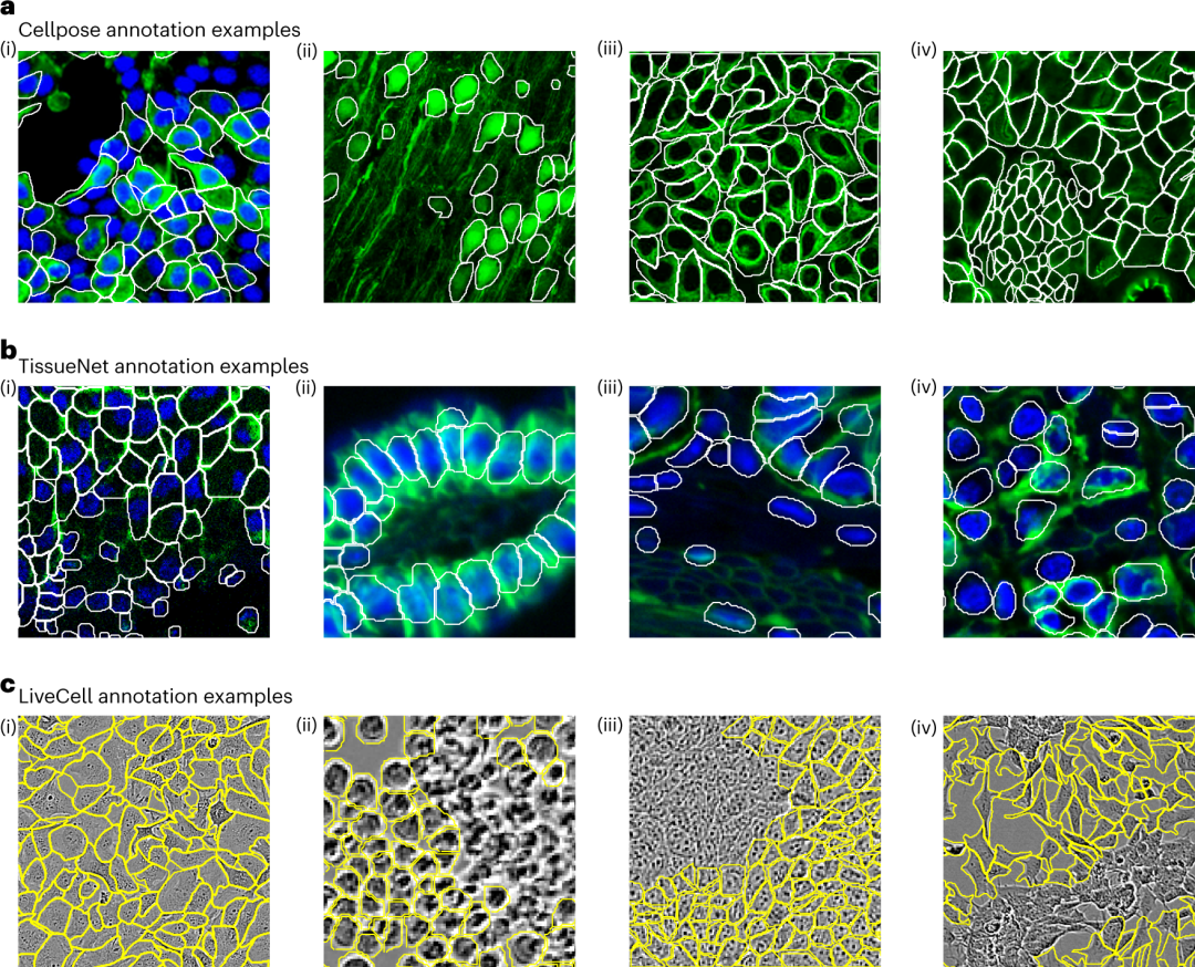 Nature Methods| Cellpose 2.0：如何训练你自己的模型？-CSDN博客
