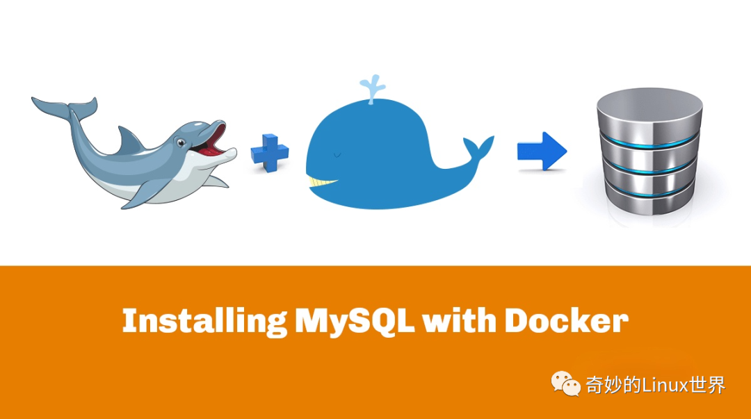 MySQL 高可用集群太难部署，我用 Docker 五分钟就搞定它！-CSDN博客