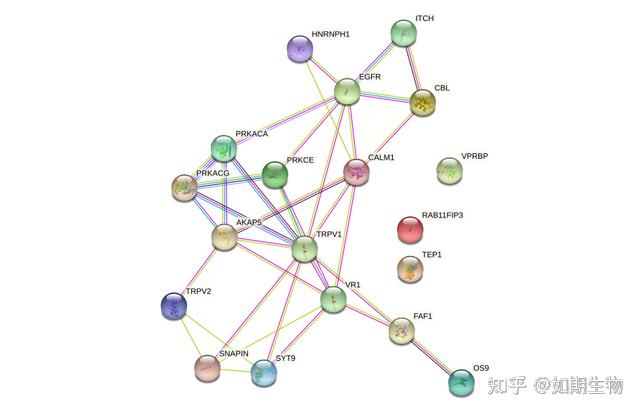 ITRAQ、TMT标签结构以及相对定量_tmt标记步骤解析-CSDN博客