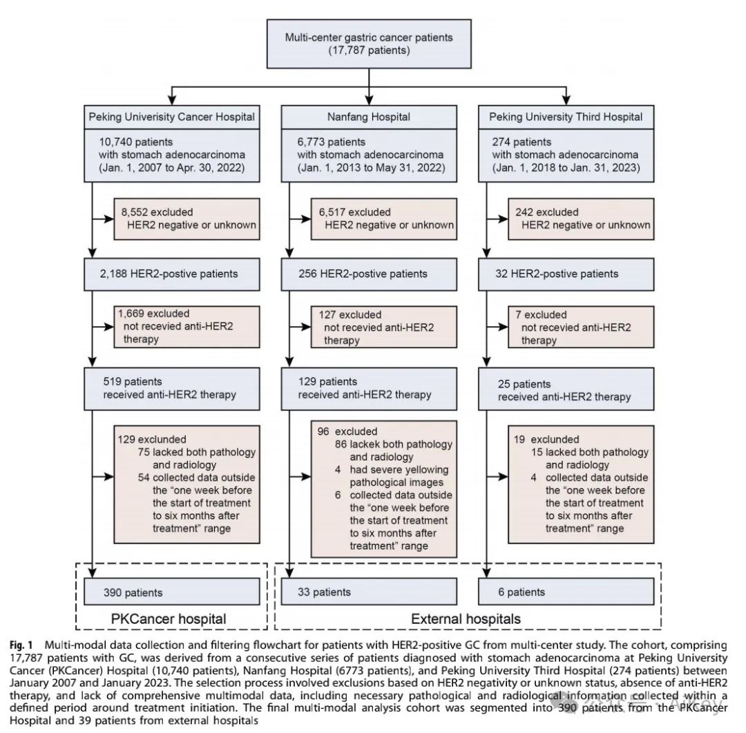 IF=40.8,基于多模态模型预测癌症抗HER2治疗或抗HER2联合免疫疗法的反应_predicting gastric cancer response to anti-her2 th-CSDN博客