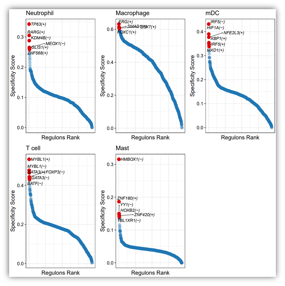 PySCENIC（四）个性化分析：pyscenic结果之差异转录因子分析及其他可视化_pyscenic分析中怎么查看tf的靶基因-CSDN博客