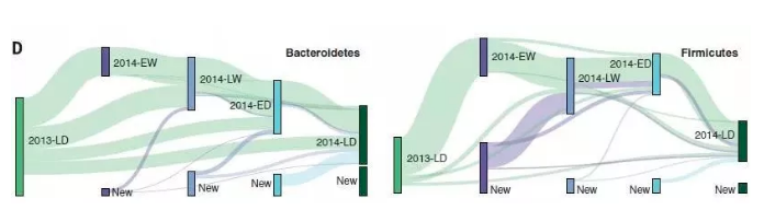 riverplot绘制桑基图-CSDN博客