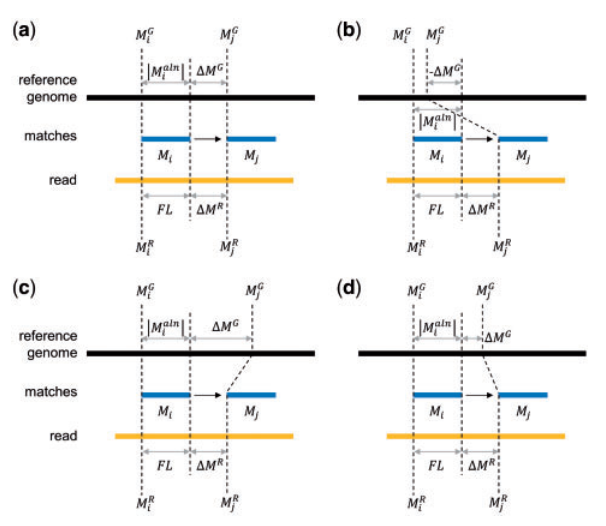 LAMSA：快速高效的三代序列比对算法_gem比对-CSDN博客