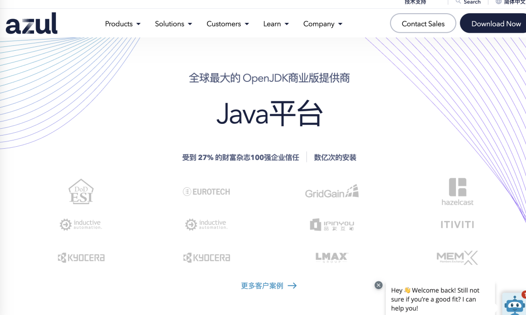 Java 8 腰斩！Java 11 和 Java 17 使用率超过 Java 8-CSDN博客