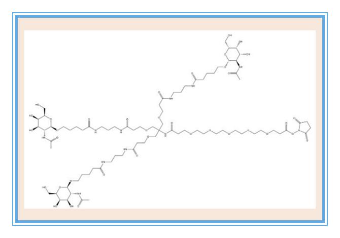 1953146-83-2，Tri GalNAc NHS ester，可作为蛋白质降解剂，可用于 LYTAC的研究-CSDN博客
