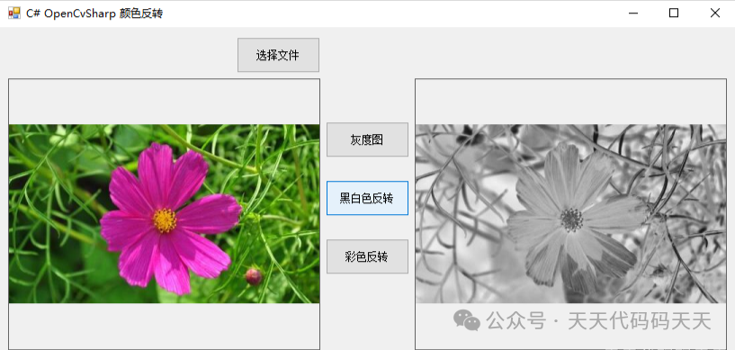 【技术大揭秘】c Opencvsharp:颠覆认知的颜色反转技巧!opencvsharp源码赏析 Csdn博客 1683