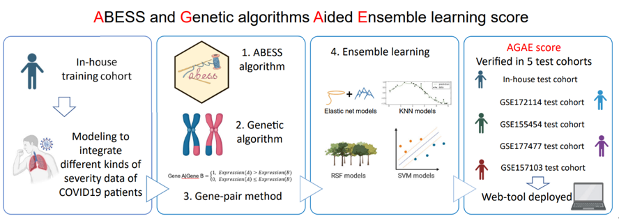 iMeta | 青岛大学朱素杰组开发了基于集成学习的新冠患者疾病严重程度打分-CSDN博客