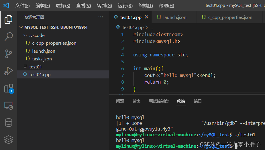 windows下vscode连接Linux中的MySQL（非常实用）_vscode 连接数据库-CSDN博客